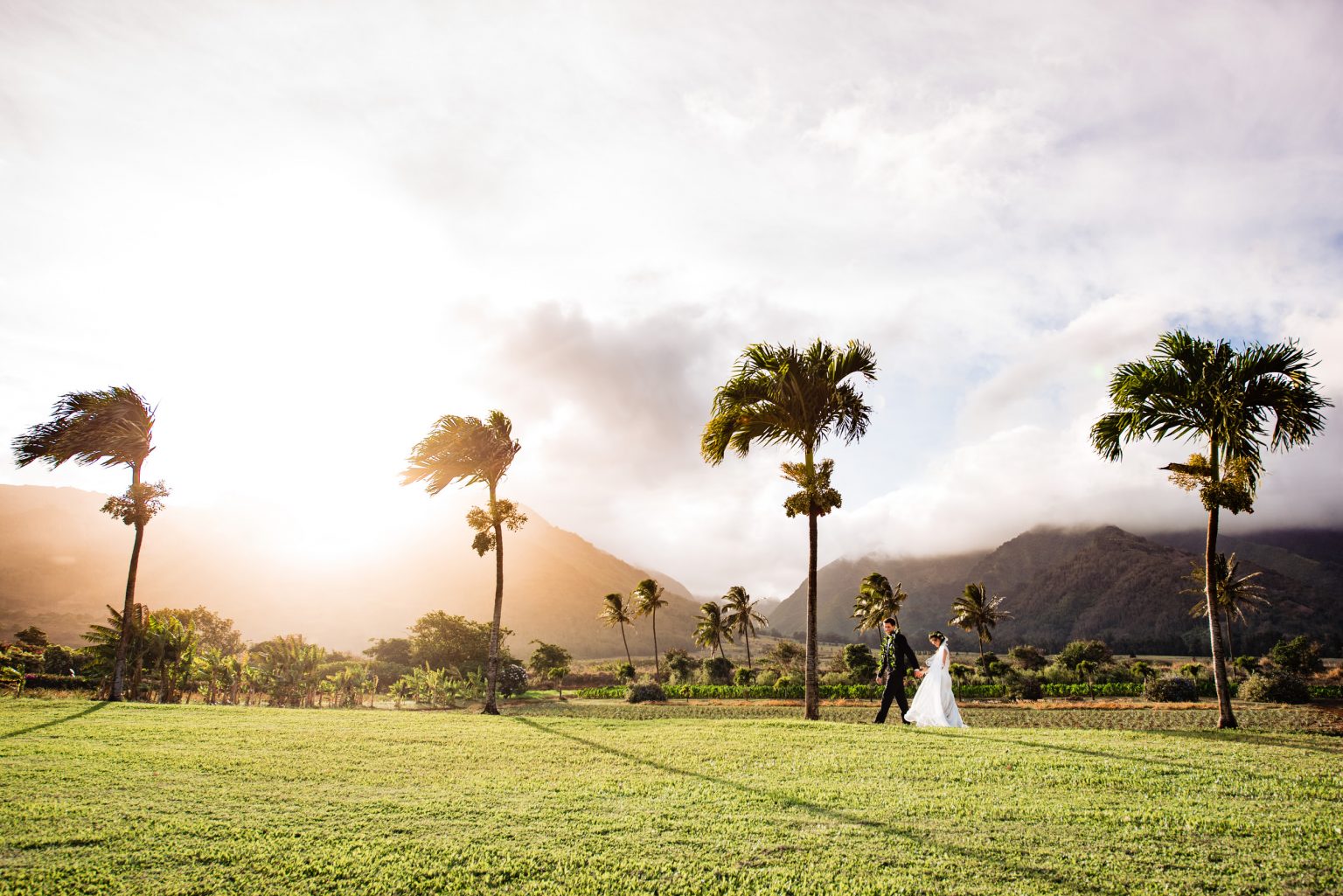 The 25+ Most Popular Maui Wedding Venues [Updated for 2022!]