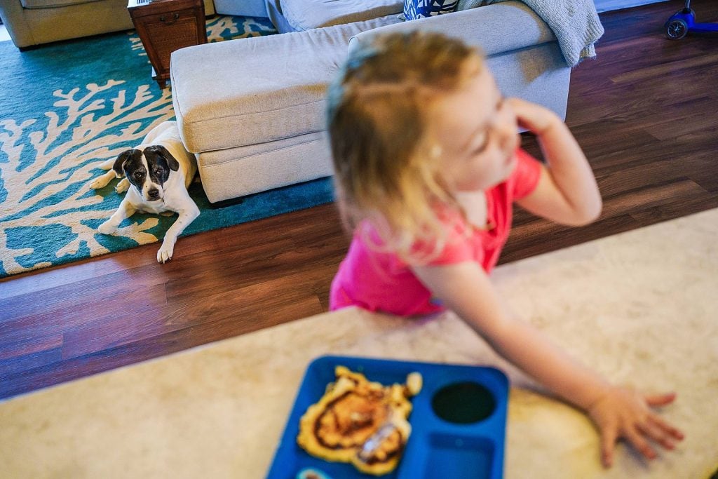 A Day in the Life | The Nelsons 2020