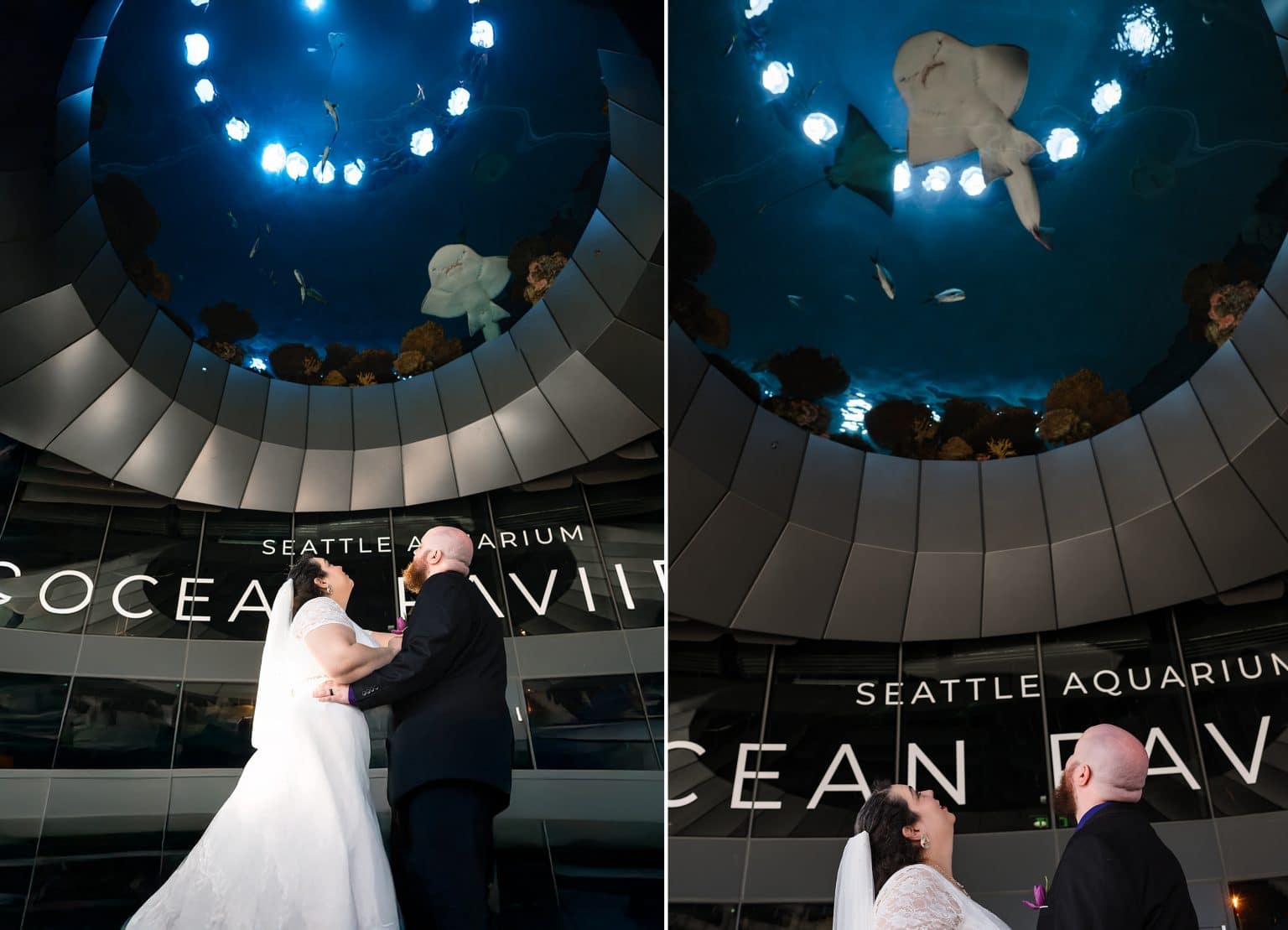 Bainbridge Ferry Wedding | Seattle Wedding Photographer | Kate and Neal ...