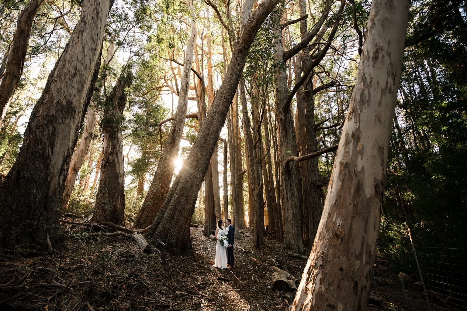 Maui Waterfall Elopement ending on Haleakala | Cheryl and Lincoln
